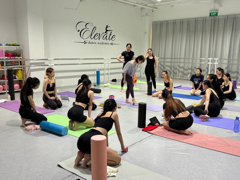 POSTURE AND MUSCLE WORKSHOP - 14TH DEC 2024 - Elevate Dance Academie